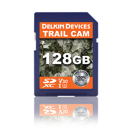 SD Memory Cards - Delkin Devices